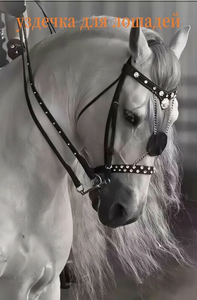 Кожаная уздечка металлический чехол для уздечки