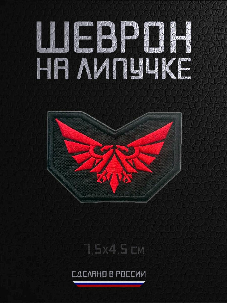 Шеврон нашивка Ваха Аквила