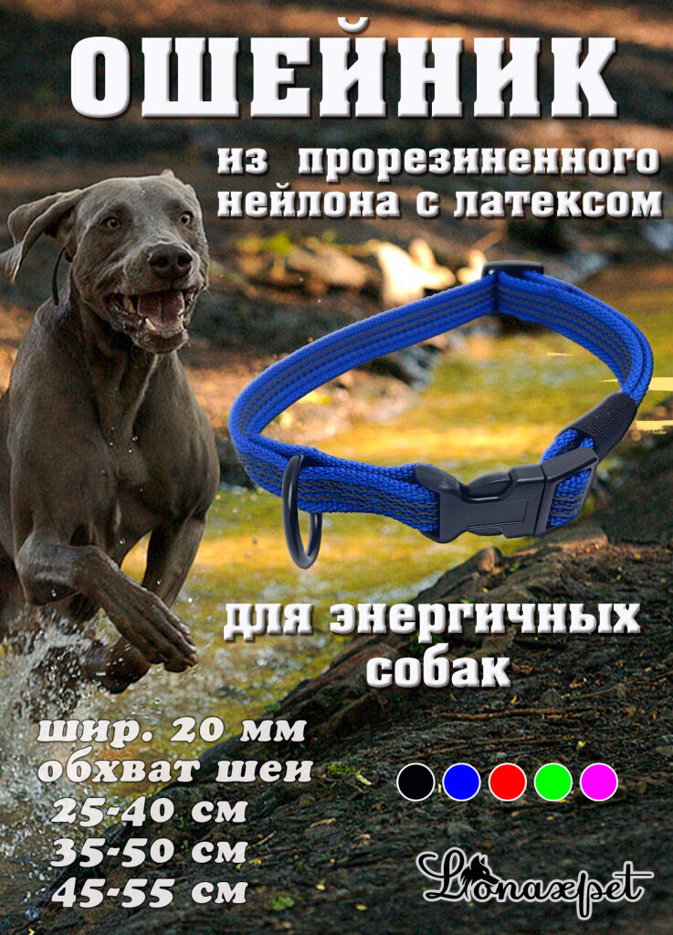 Ошейник для собак на замке фастекс из прорезинного нейлона с латексом синий шир.20 мм размер S (25-40 см)