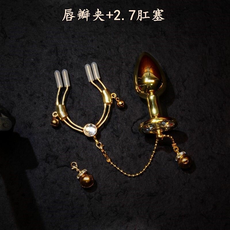 Вагинальный зажим, анальная пробка, набор, может регулировать боль, SM наказание, реквизит, чтобы выйти, нижняя часть тела, тренировочные инструменты, сексуальное нижнее белье, страсть