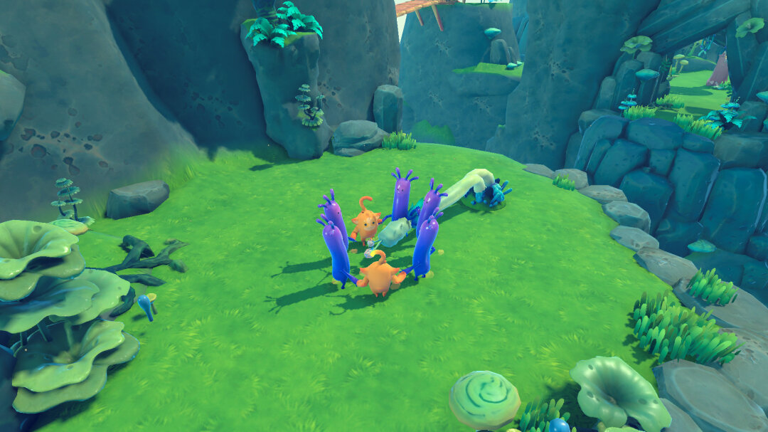 Derpy Conga — фото 1