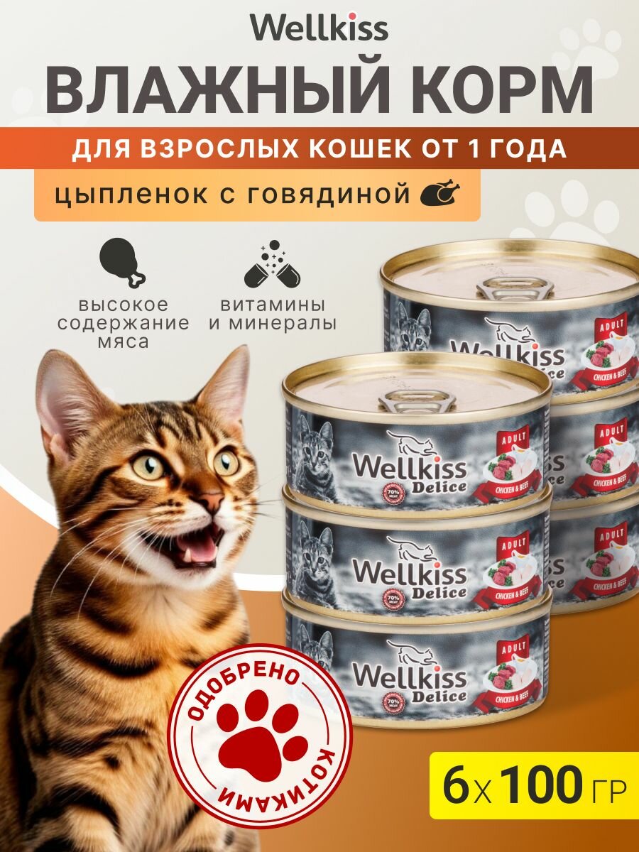 Wellkiss Влажный корм (консервы) для кошек, цыпленок с говядиной, 100 гр. * 6 шт.