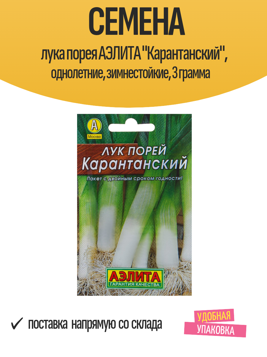 Семена лука порея аэлита "Карантанский", однолетние, зимнестойкие, 3 грамма