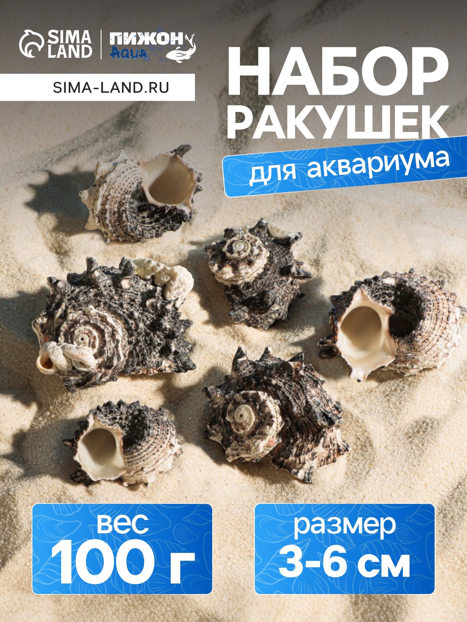 Набор ракушек с перламутром, 3 - 6 см, 100 г