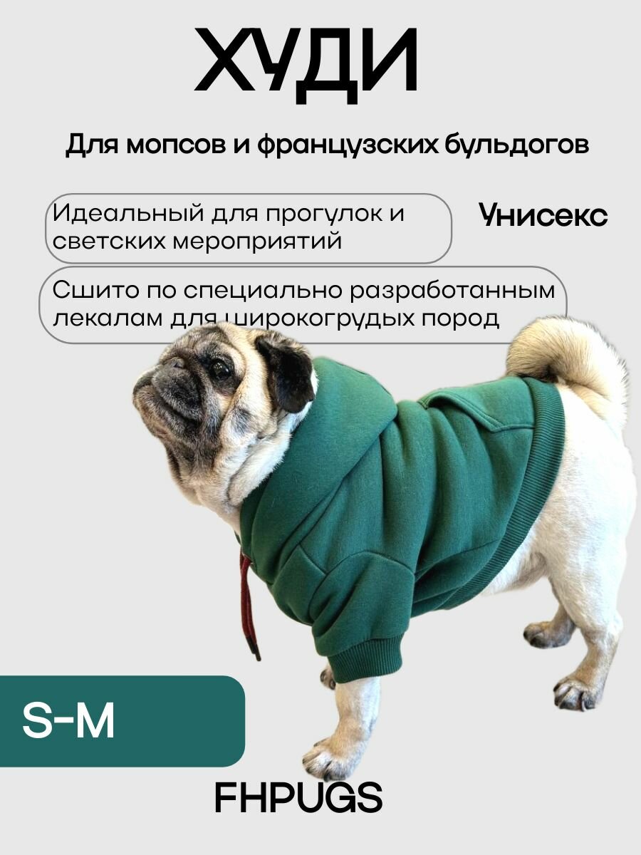 Толстовка-худи для собак, размер S, для мопсов и французских бульдогов, зеленый, с капюшоном