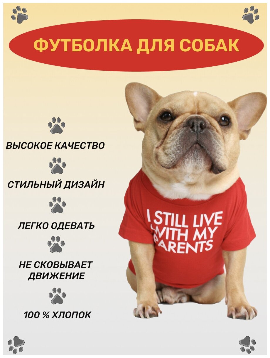 Футболка для собак мелких и средних пород, для кошек, для котов, для щенков и котят. Одежда для собак и кошек. Размер-М Красная