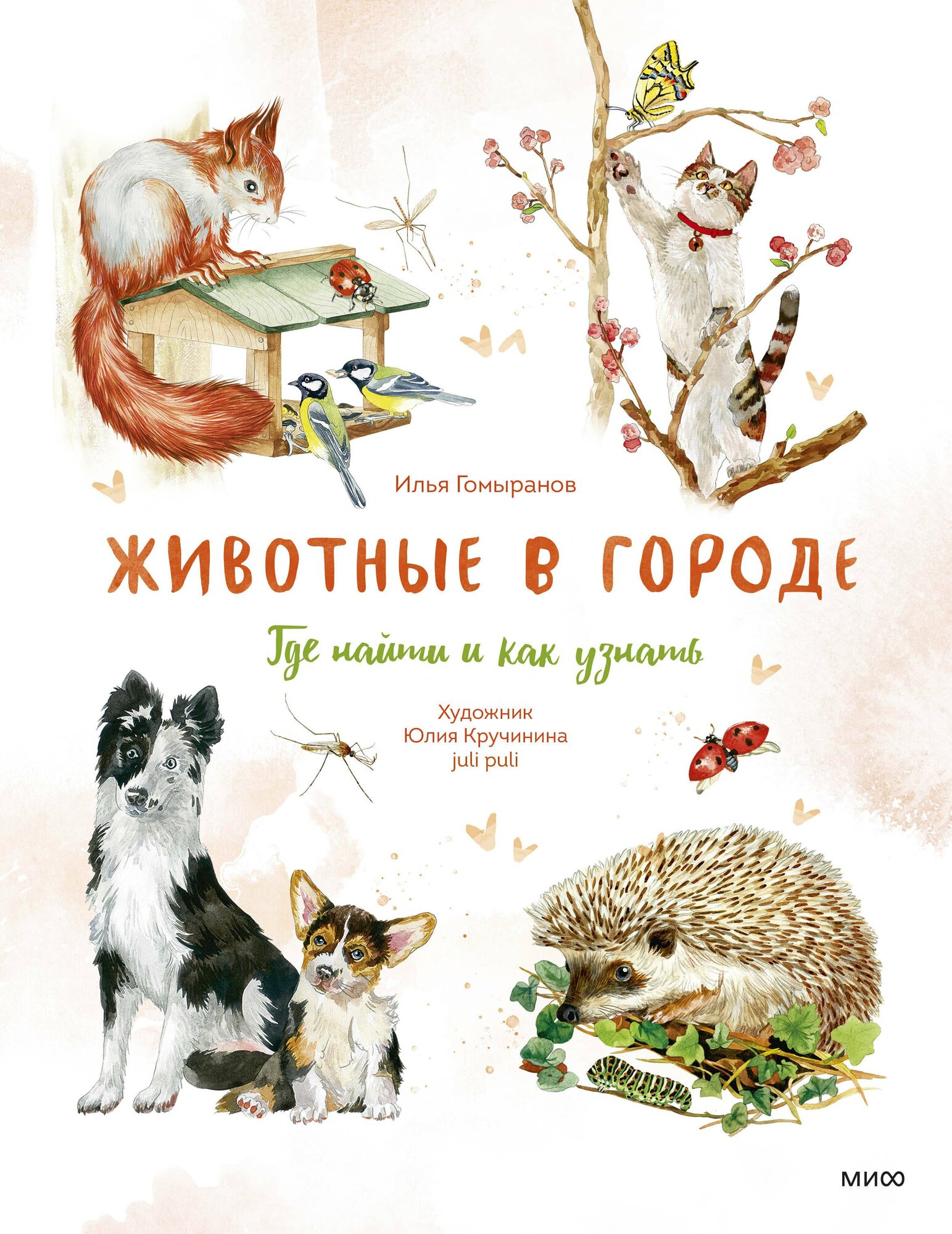 Животные в городе. Где найти и как узнать