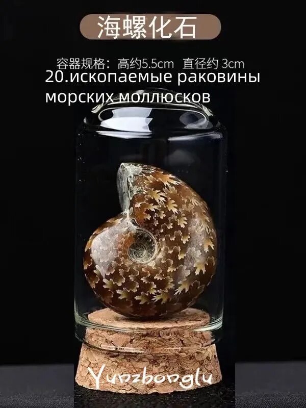 Натуральных камней самоцветов и минералов, игровой набор, амулет, вещи для экспериментов, учёбные принадлежности