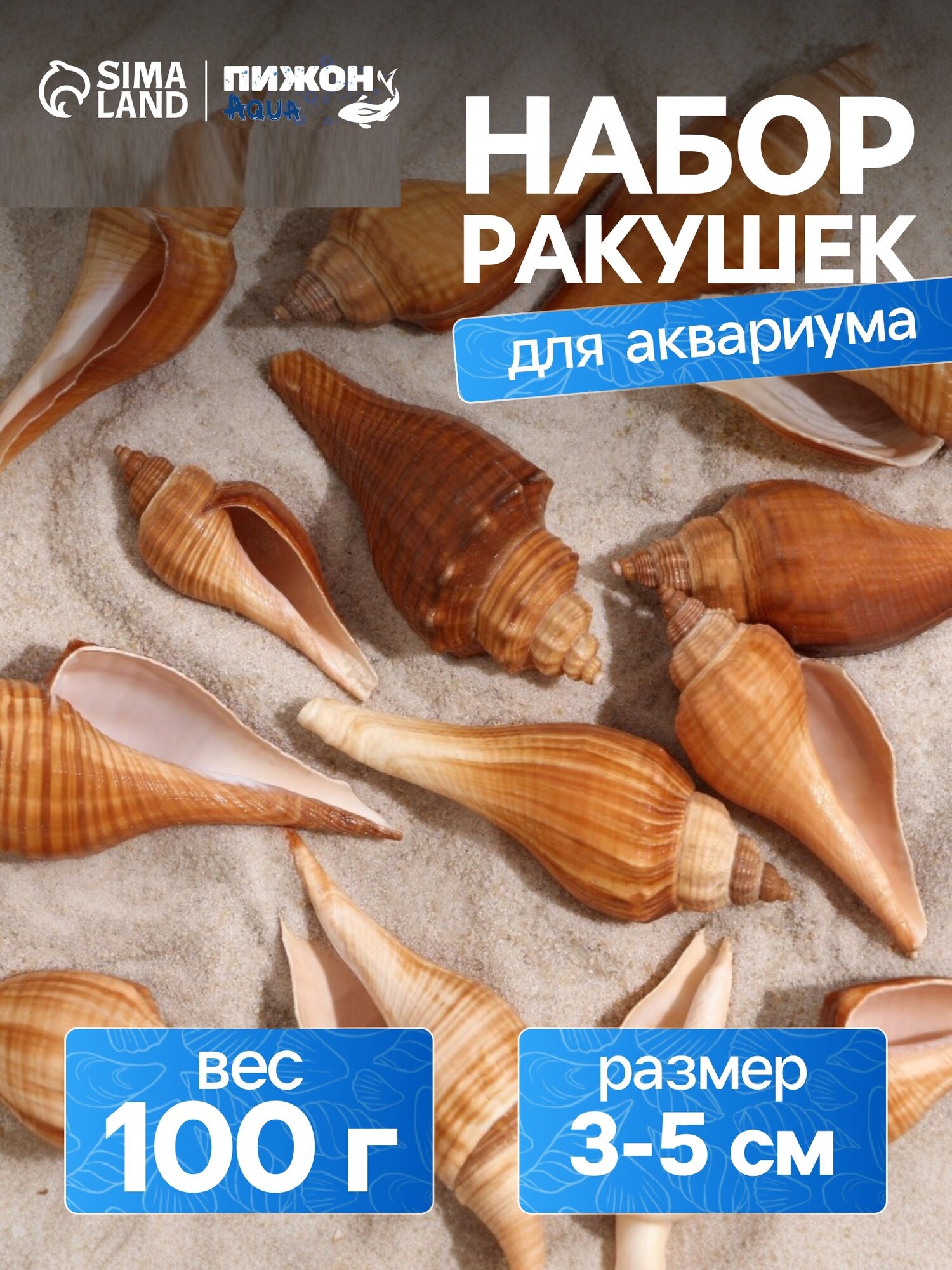 Набор ракушек Пижон Аква, размер 3 - 5 см, 100 г, цвет коричневый