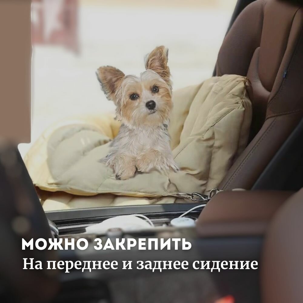 Переноска — фото 1
