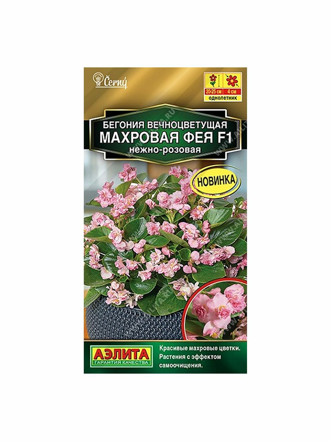 Семена Бегония вечноцветущая Махровая Фея F1 нежно-розовая, однолетник, Ком, Аэлита - Cerny, 1 пачка - 5 семян