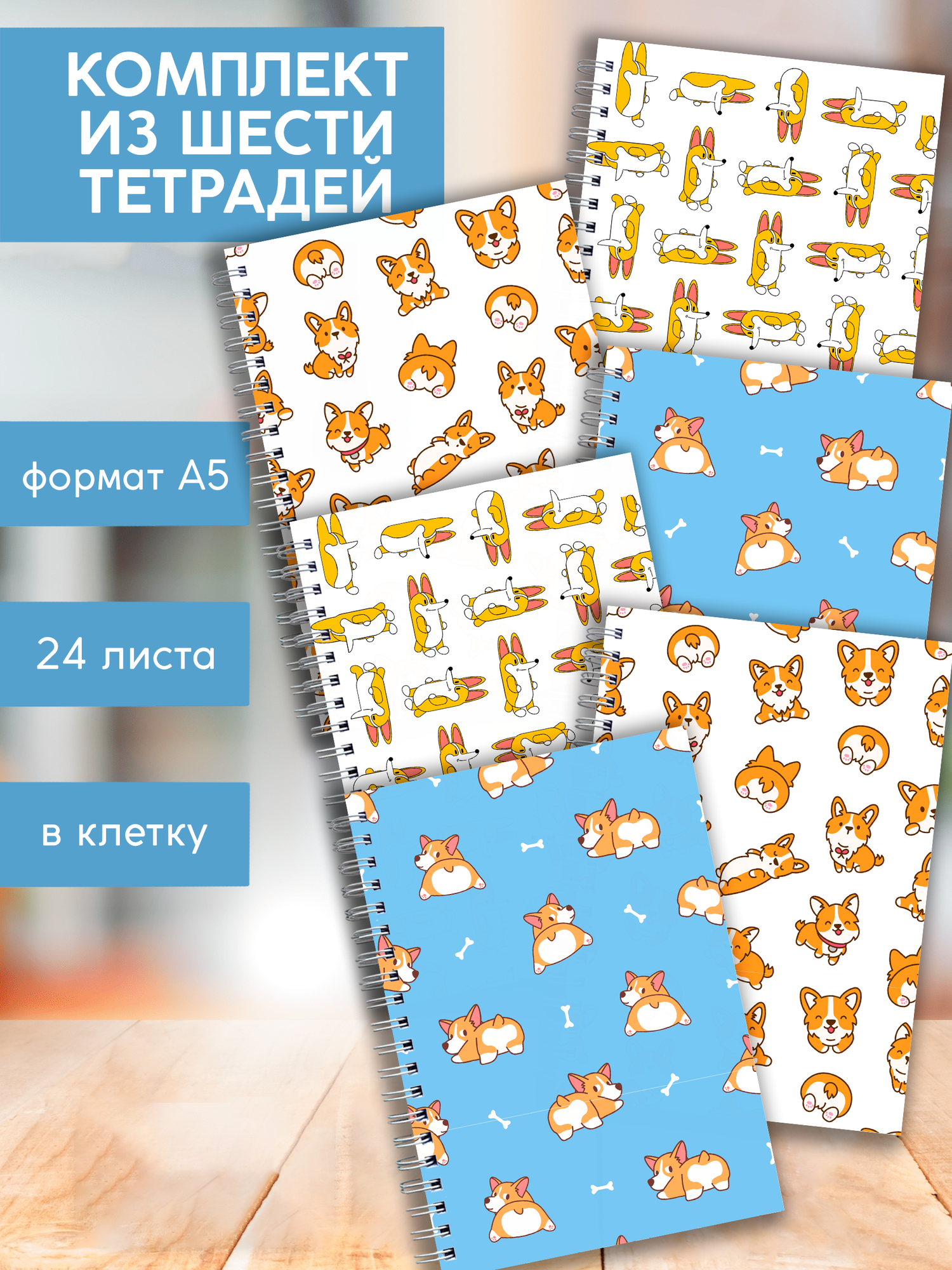 Набор общих тетрадей 6 штук