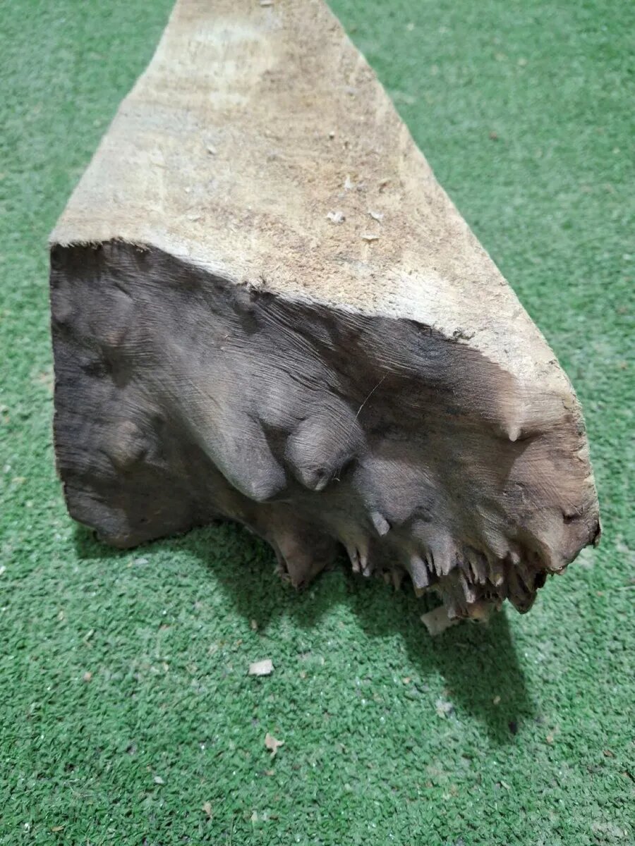 Слэб массив каповый тополь (340-140-95мм)