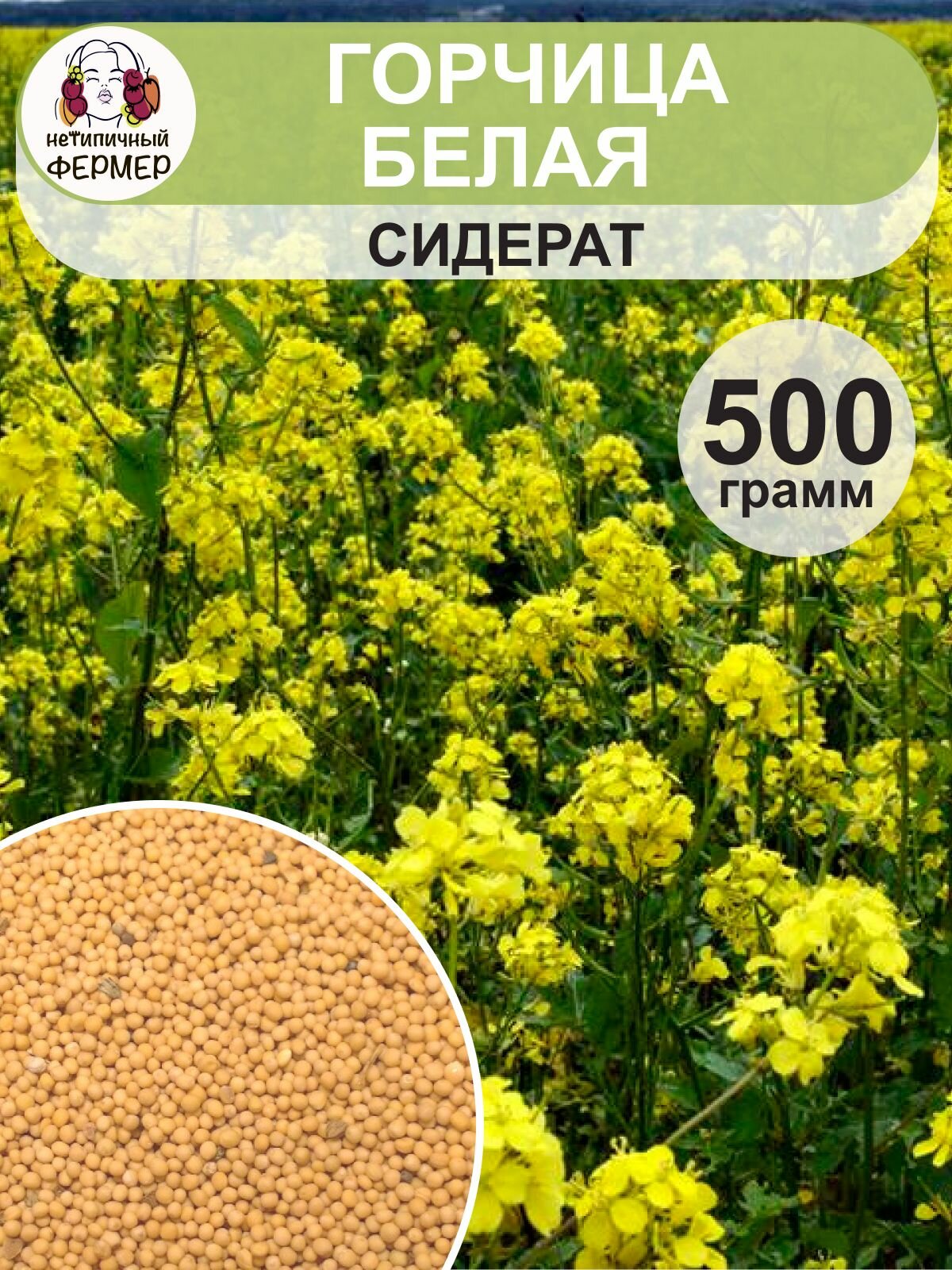 Семена горчицы Нетипичный фермер, однолетние, для всех регионов