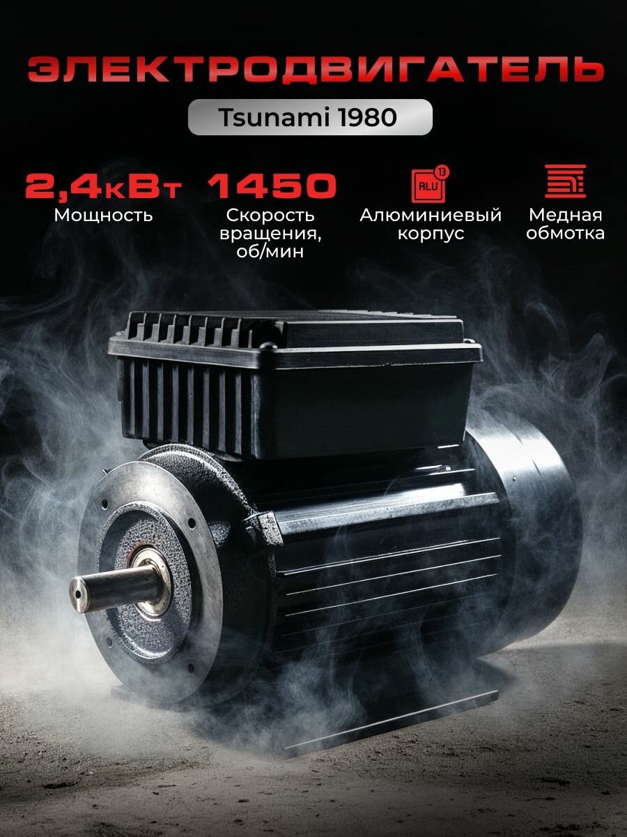 Электродвигатель TSUNAMI, 2,4 кВт, 220В, 1450об/мин, IP54, чёрный
