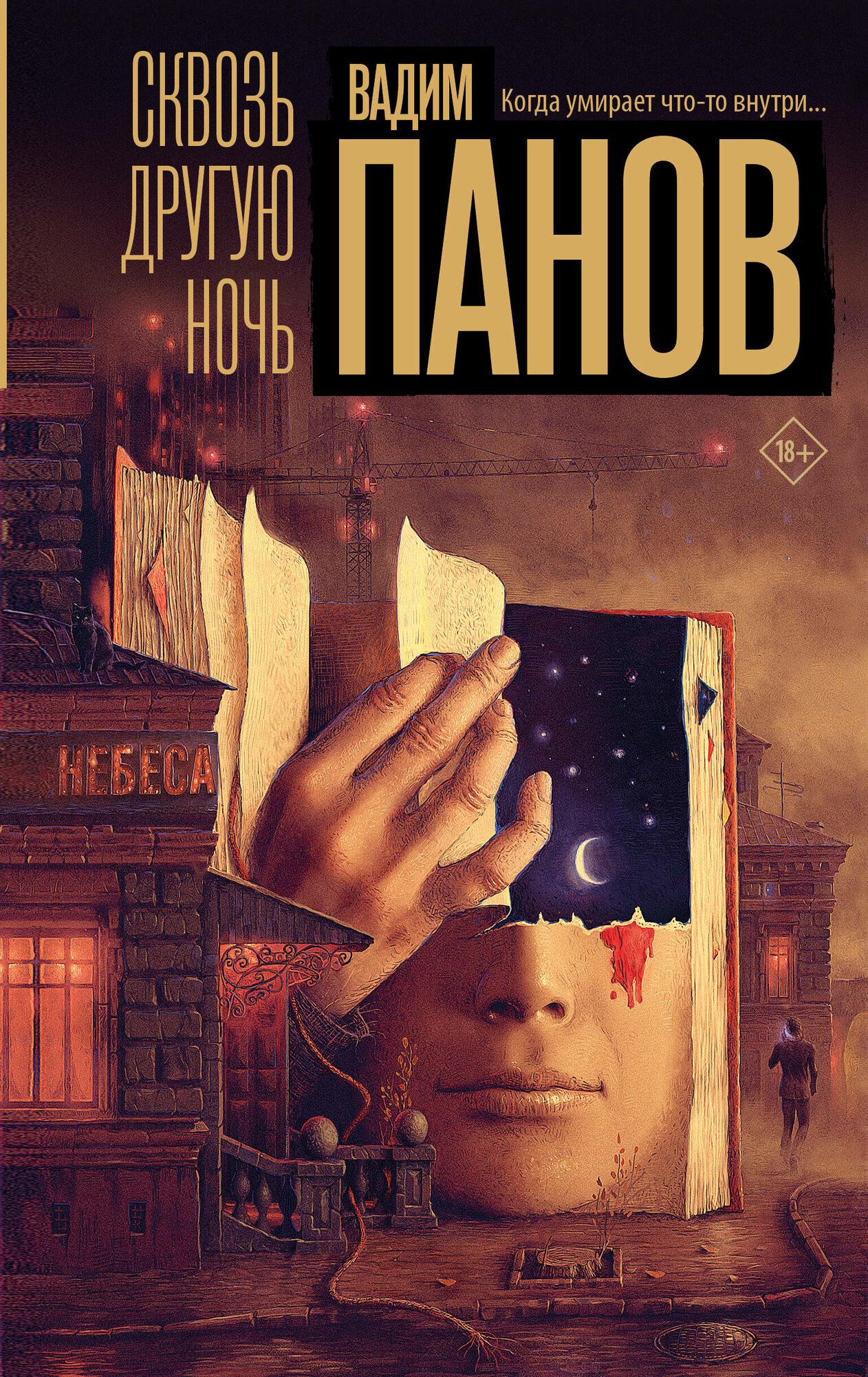 Книга "Сквозь другую ночь", автор Панов В. Ю, издательство Жанры