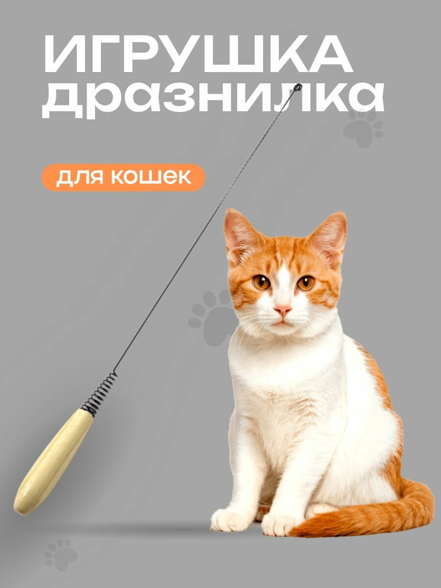 Игрушка: Дразнилка для кошек