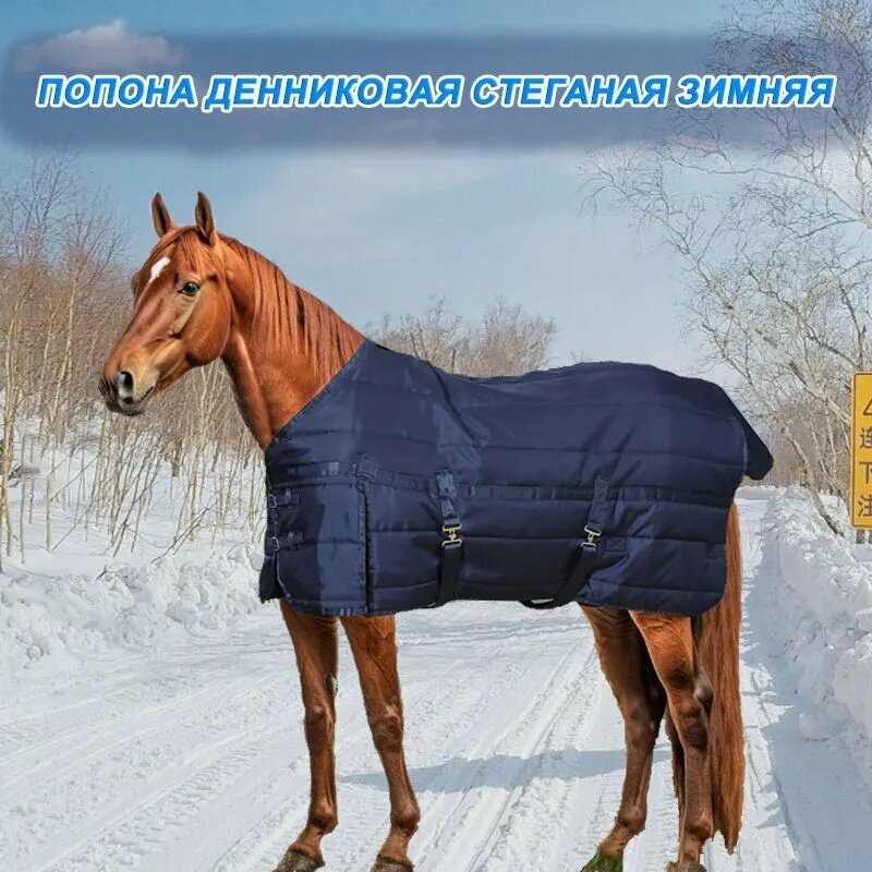 Попона денниковая стеганая зимняя Classic Stable, утеплитель 300гр (размер 145)