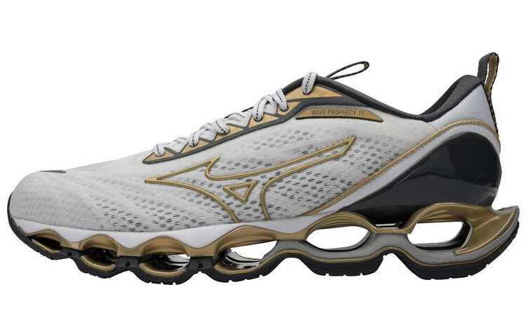Кроссовки Mizuno Prophecy 11