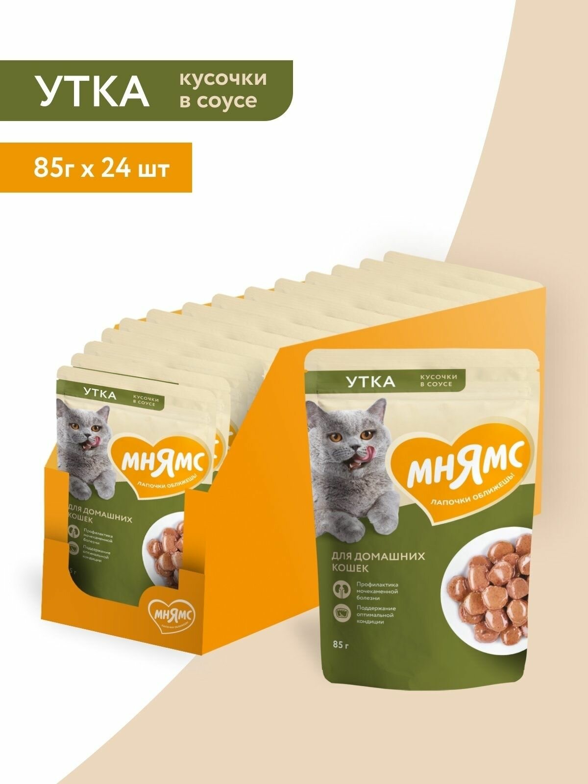 Мнямс - Пауч для домашних кошек, кусочки в соусе с уткой 85г (Упаковка 24 шт)