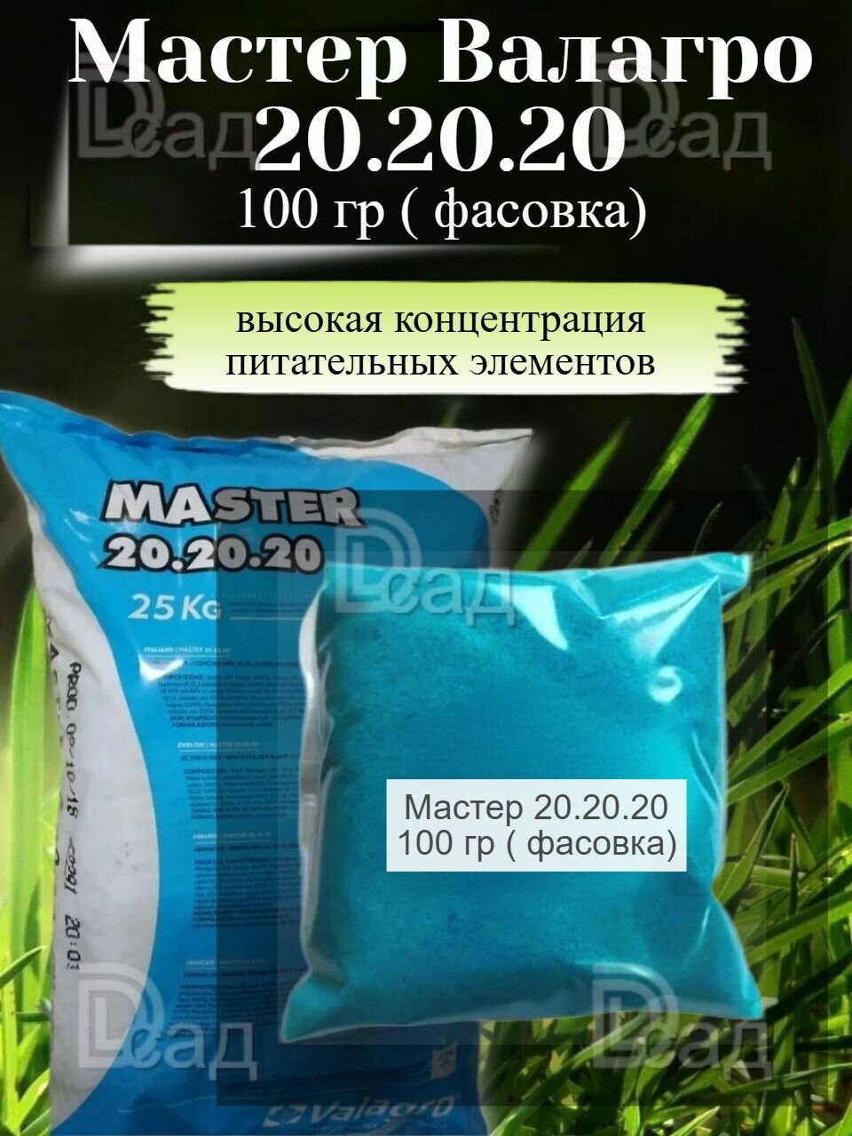 Удобрение Valagro Мастер 20-20-20 100г, для всех видов растений
