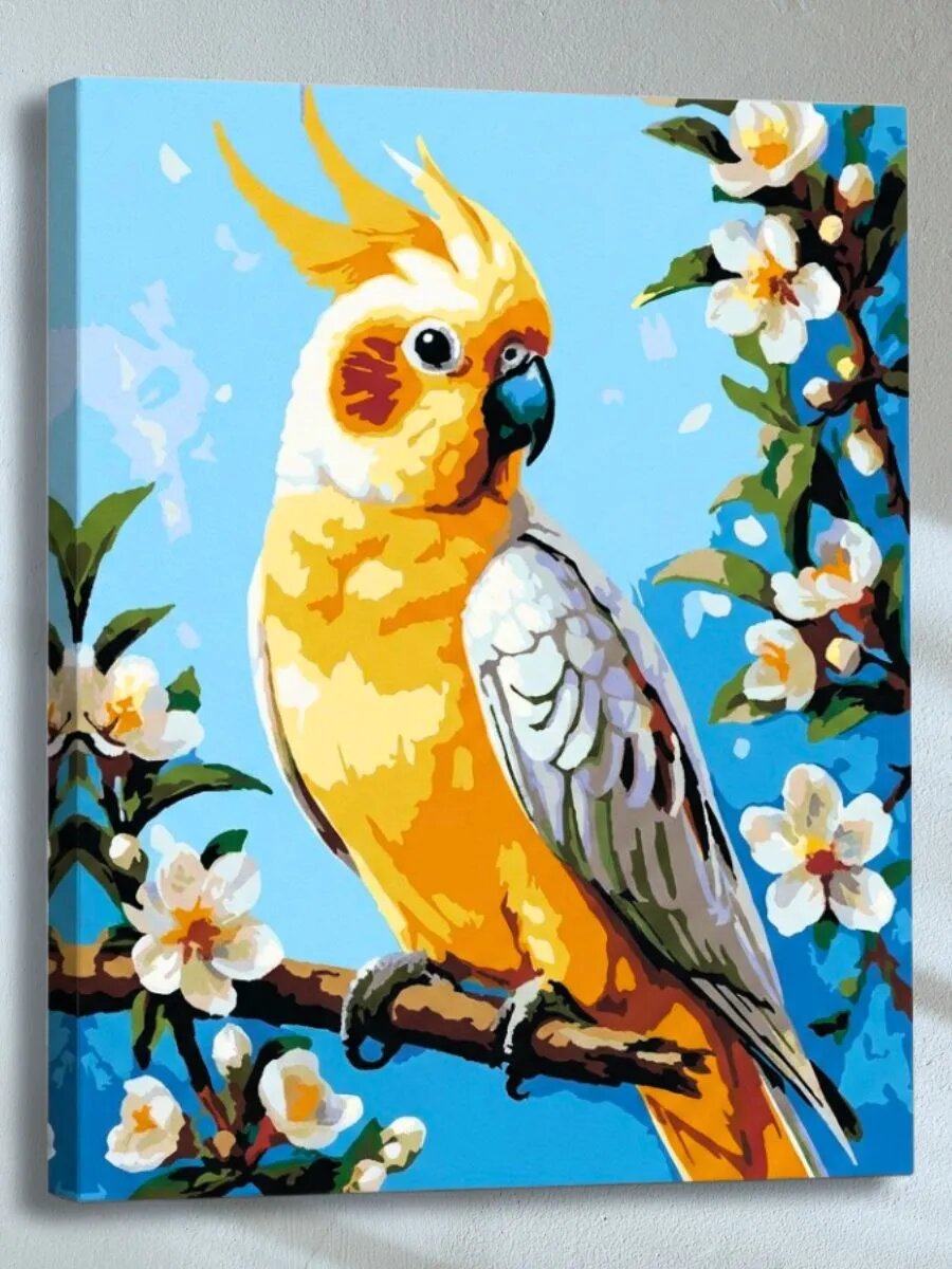 Картина по номерам Корелла 40х50