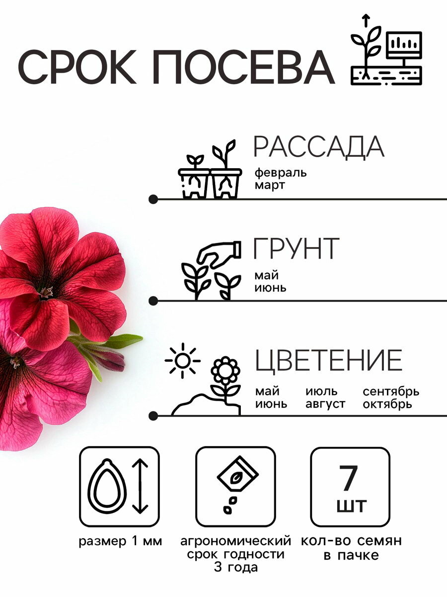 Семена цветов Петуния Суперкаскадная "Бургунди", ц/п, F1, 7 шт