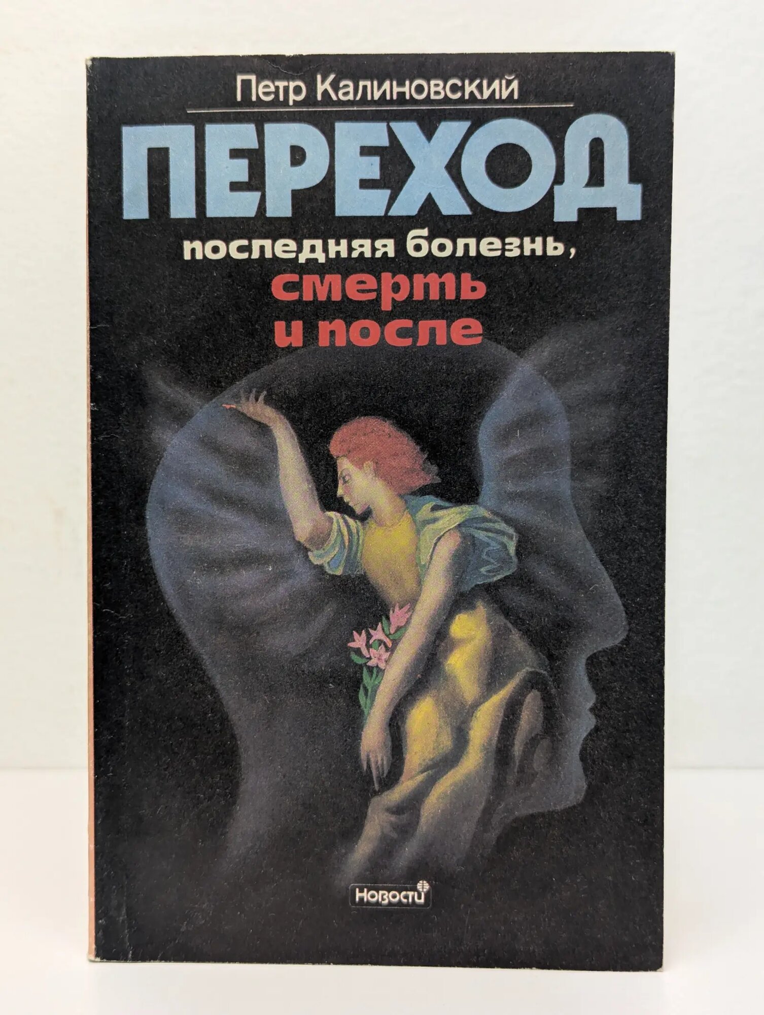 Переход. Последняя болезнь, смерть и после Калиновский Петр Петрович 1993