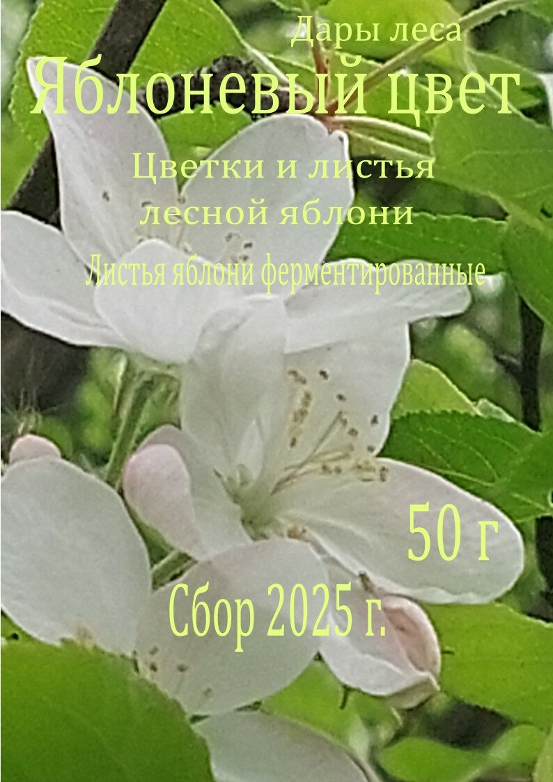 Чай "Яблоневый Цвет", цветки и лист дикой яблони.