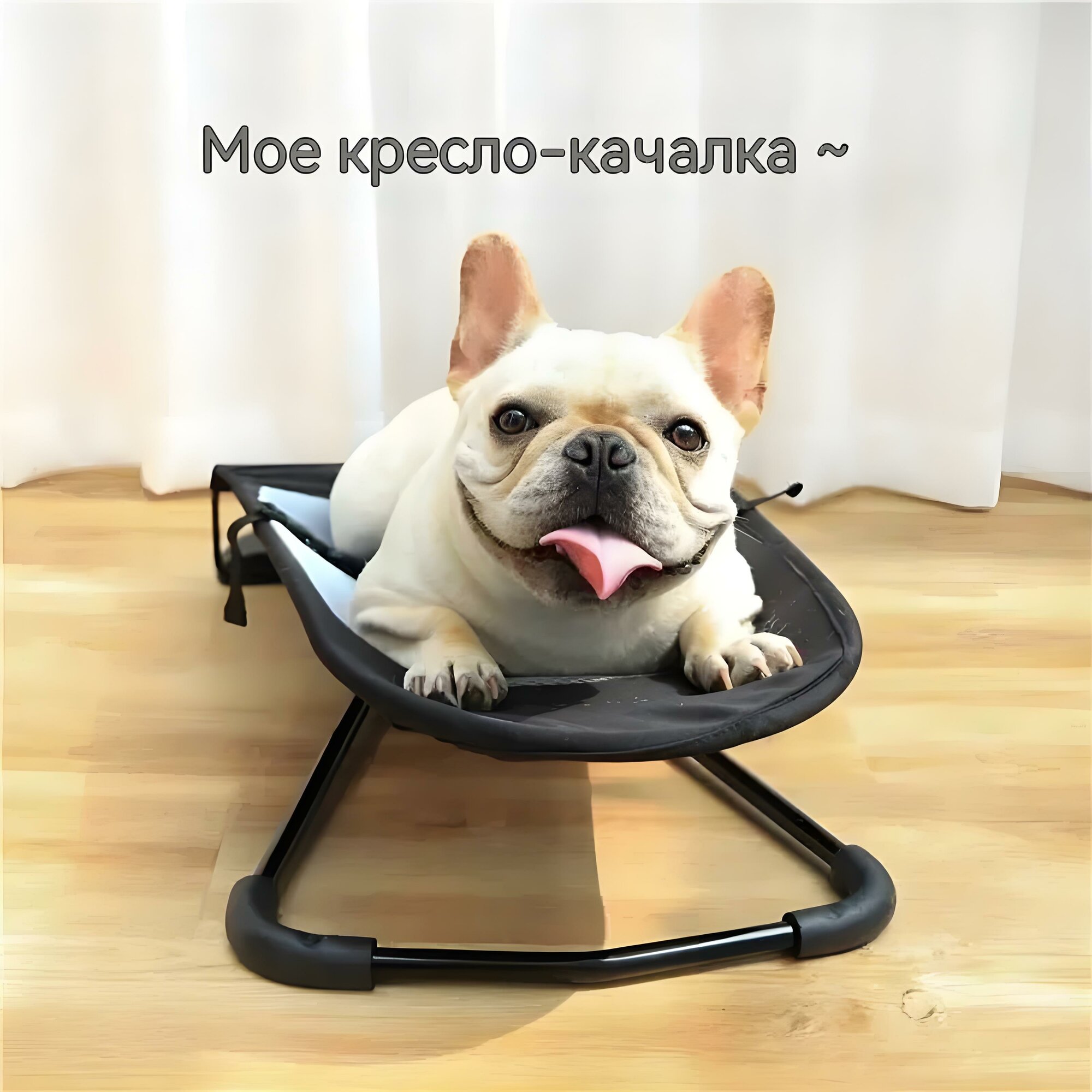 Собачья кровать, переносная кровать для французского бульдога и других пород, раскладушка, черный