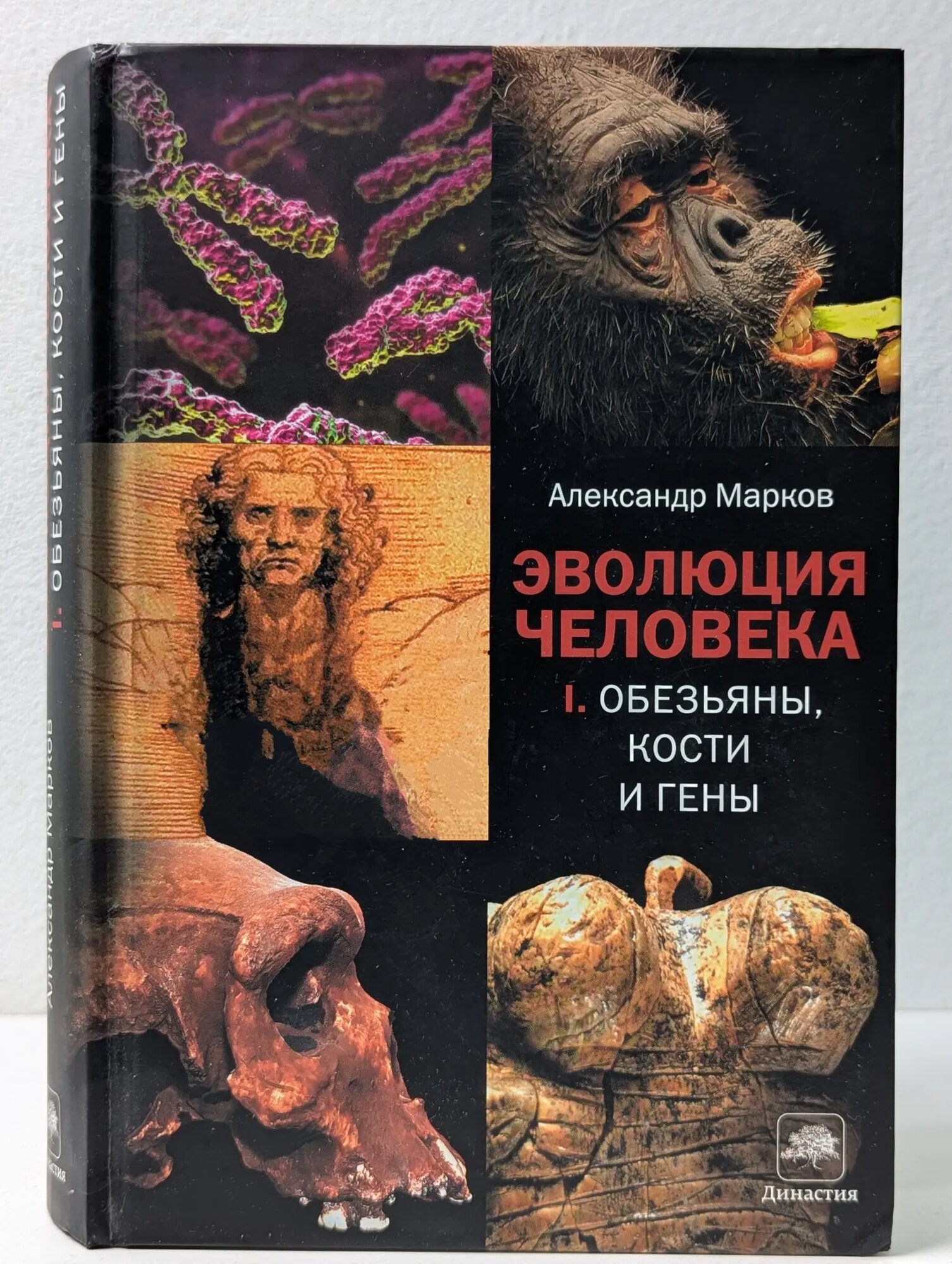 Эволюция человека. В 2 книгах. Книга 1. Обезьяны, кости и гены Марков Александр Владимирович 2012