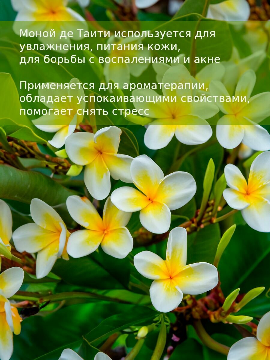 Подарочный набор Монои WIPLUS — фото 1