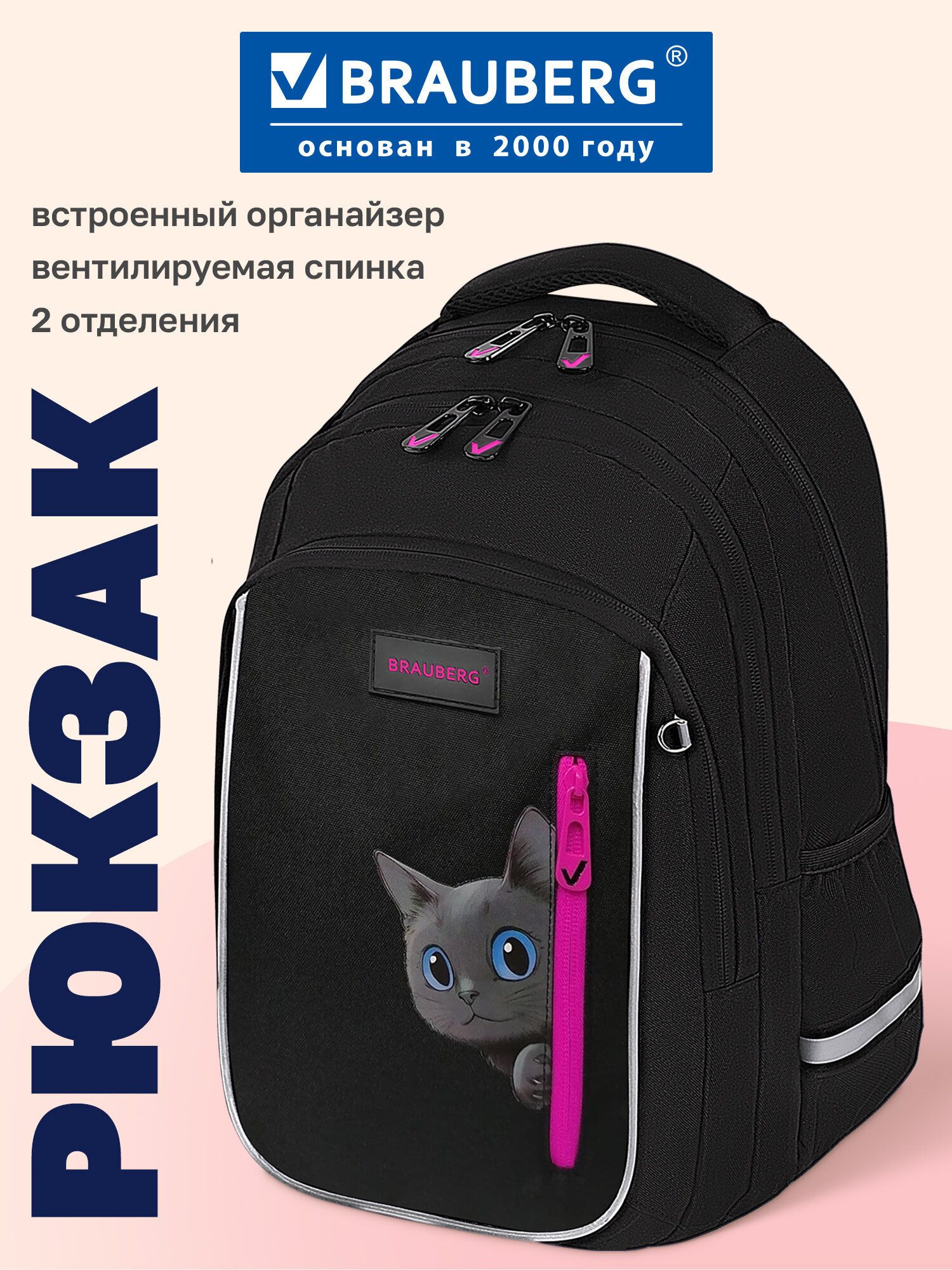 Рюкзак школьный для девочки, ранец для подростка, портфель детский в школу, 2 отделения и 4 кармана, 39х27х14 см, Brauberg Любопытный кот