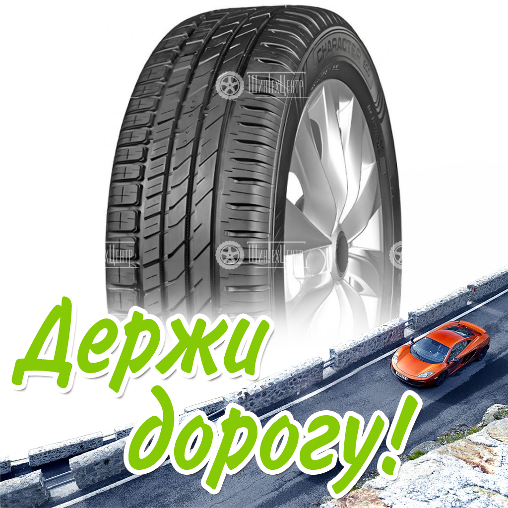 Шина 155/80R13 79T Ikon Tyres Character Eco Летняя для легковых автомобилей и кроссоверов