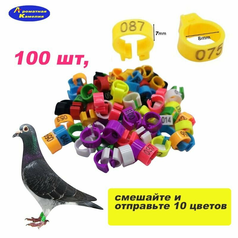 100 шт, кольцо с птичьей меткой 8 мм, метка птичьей лапки, универсальное кольцо для голубей, смешанный цвет.