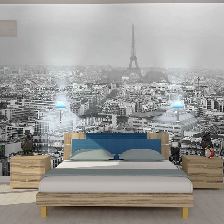 Фотообои Черно белый Париж 9-717-S-Флок 270 x 200 см (ВхШ) Бесшовные, флизелиновые, влагостойкие обои MasterFresok