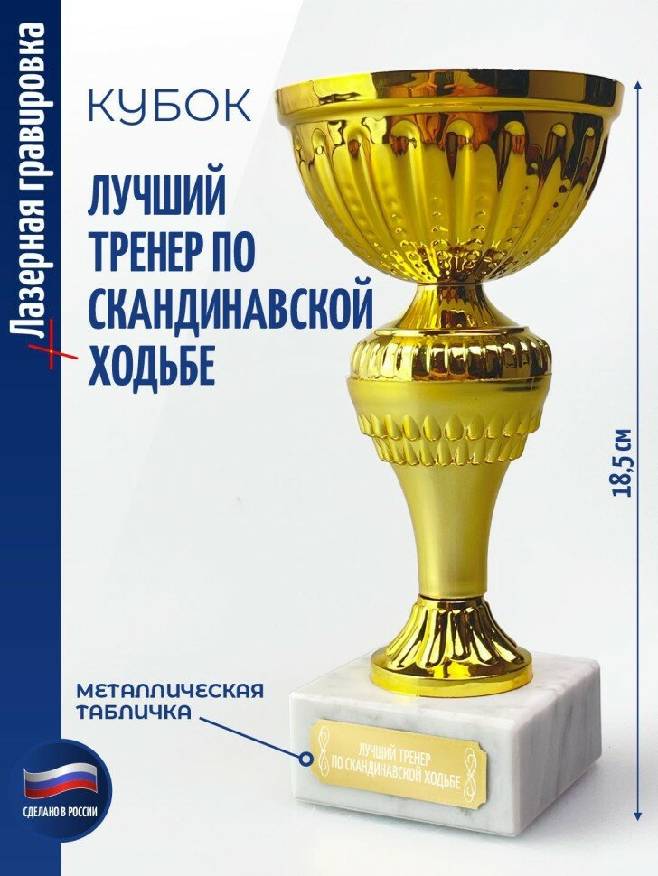 Кубок "Лучший тренер по скандинавской ходьбе" (18,4 см)