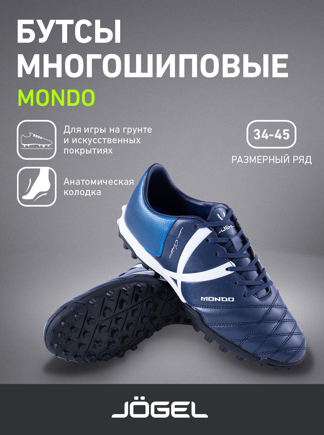 Сороконожки