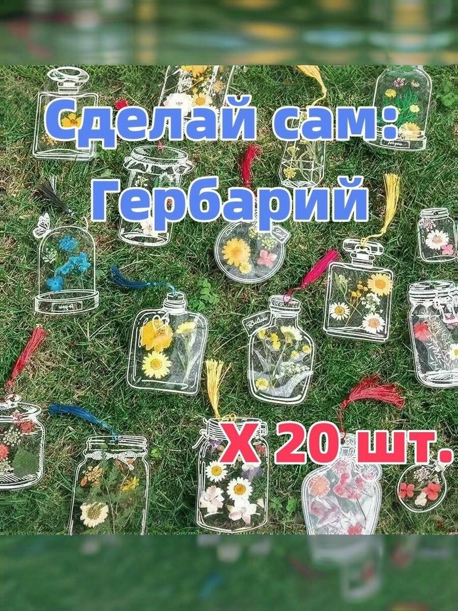 Набор для творчества гербарий своими руками, 20 пластиковых буклетов для сухоцветов, креативная закладка растений, детский набор для создания альбома