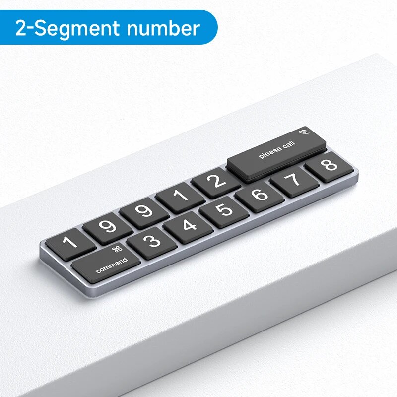 Временный парковочный номер Hagibis, 2-Segment number, цвет датчика: Two rows