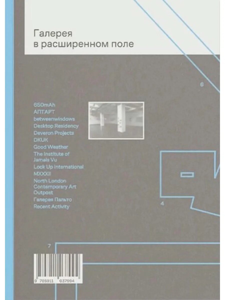 Галерея в расширенном поле / The Gallery in the Expanded Fie