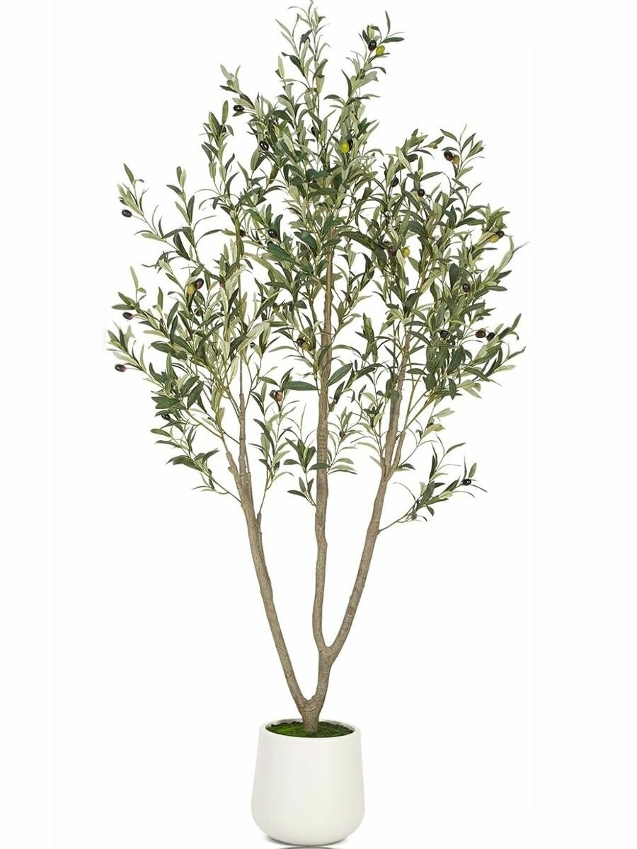 Искусственное растение, искусственное оливковое дерево, несколько съемных столбов, высота 150 см.