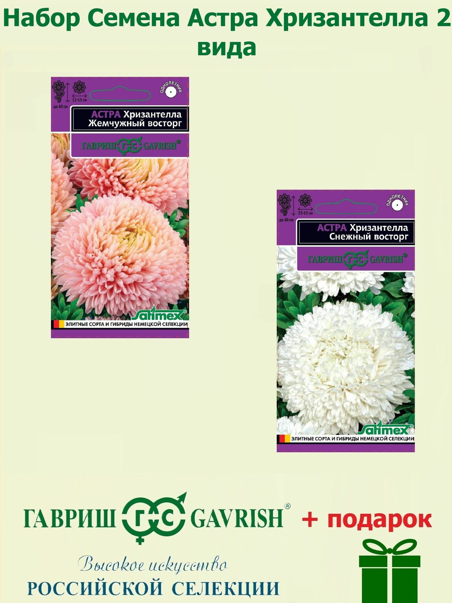 Набор семян Астра Хризантелла 2 вида, Комплект 1