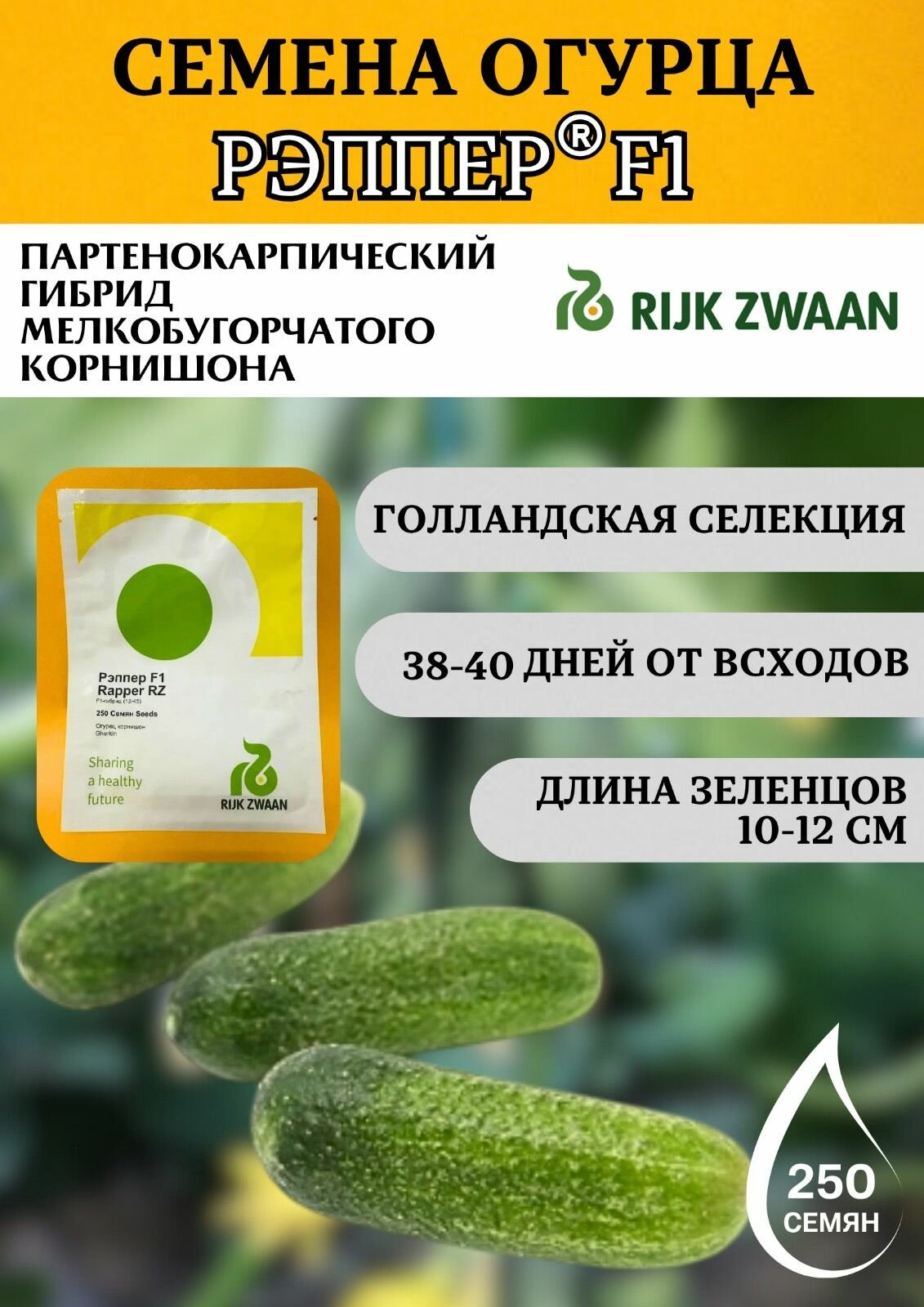 Семена огурца Rijk Zwaan Рэппер F1 250 штук гибрид партенокарпический