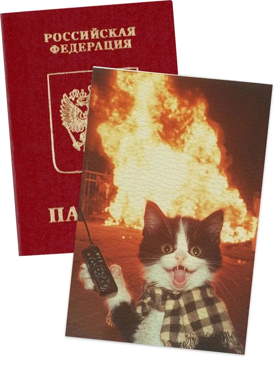 Обложка для паспорта