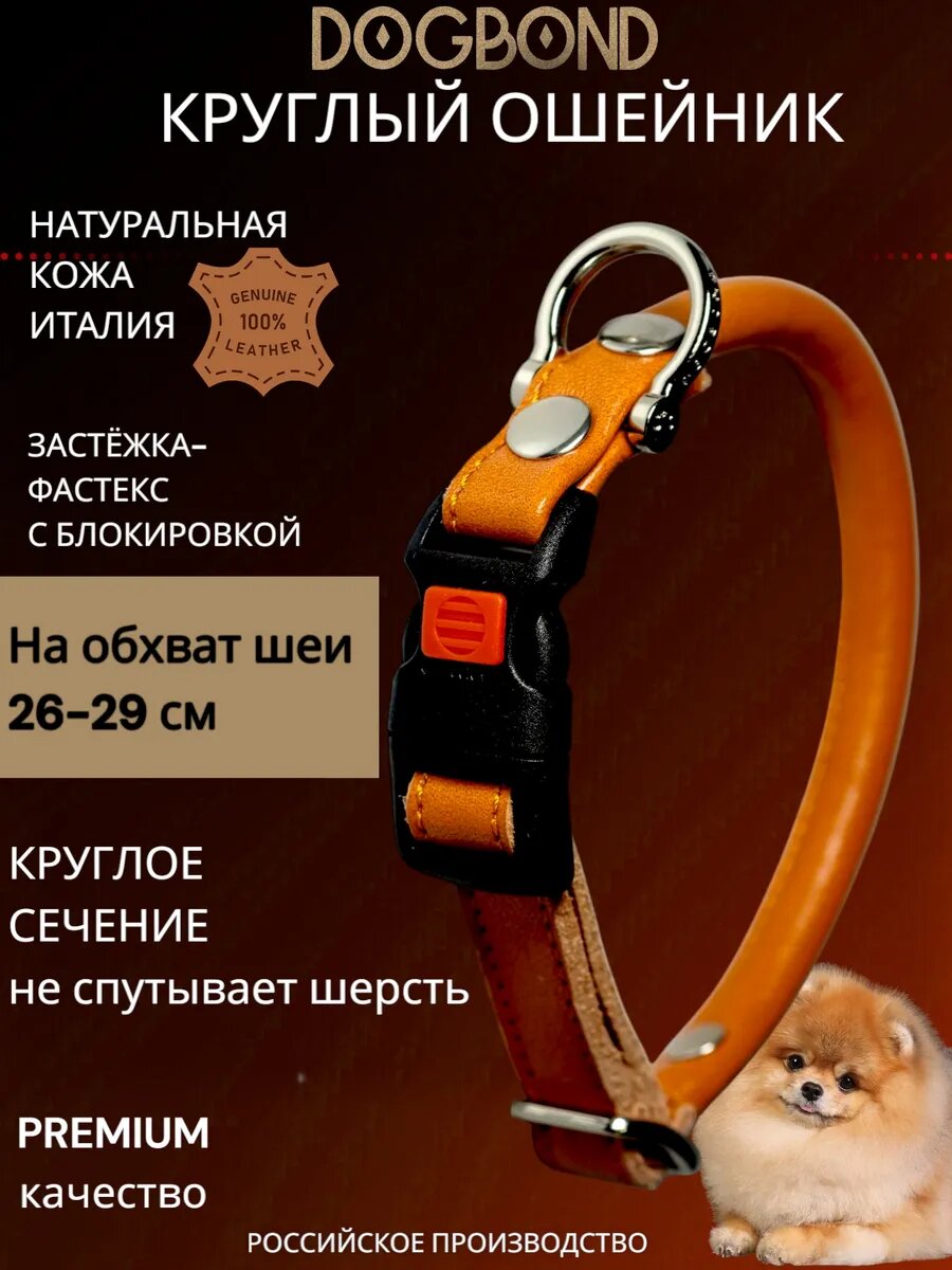 Dogbond Ошейник для шпица круглый кожаный 26-29 см