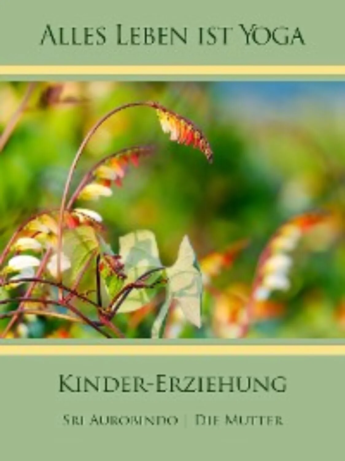 Kinder-Erziehung [Цифровая книга]