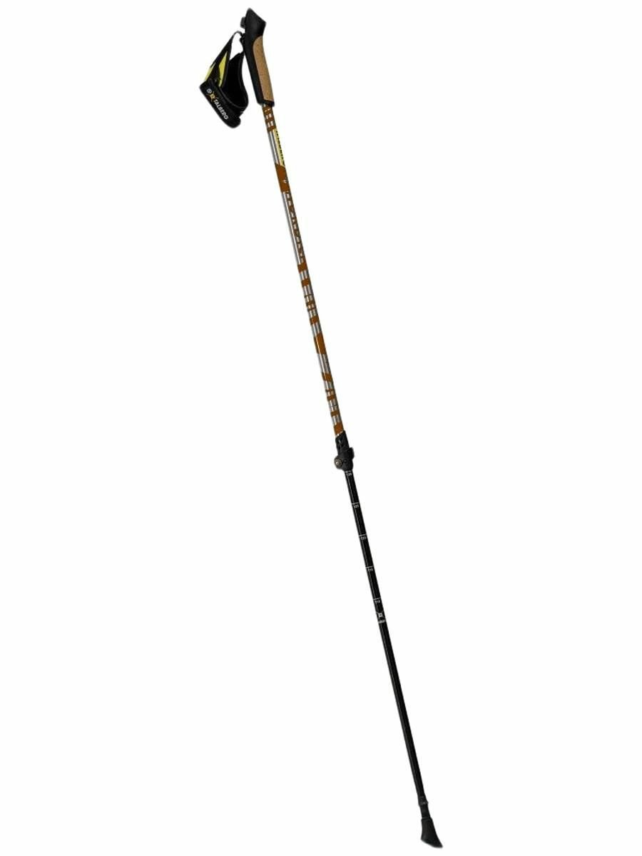 Палки для скандинавской ходьбы Talberg NORDICA, цвет: красный, 2 шт