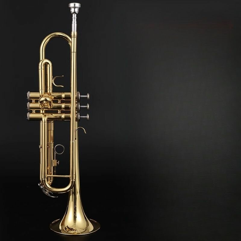 Труба си-бемоль (медный инструмент) подходит для начинающих.