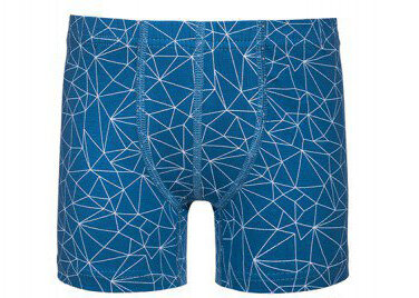 Трусы абстракция